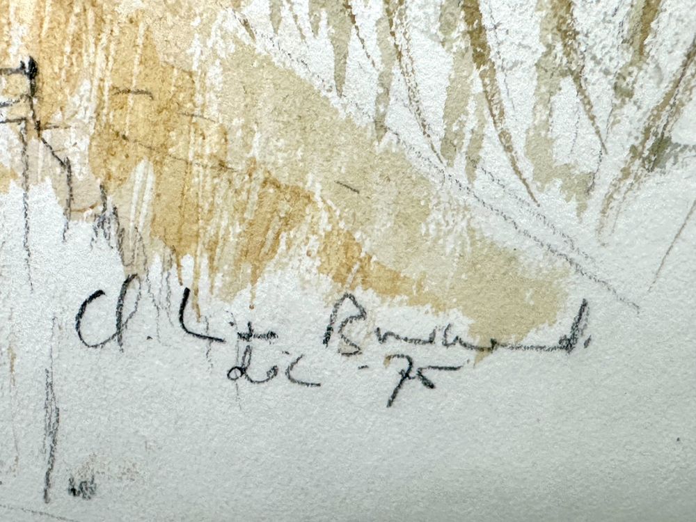 ELISE BURNAND 1975 Aquarelle sur carton paysage Lavaux (Gebraucht) in Morges für CHF 20 – mit ...