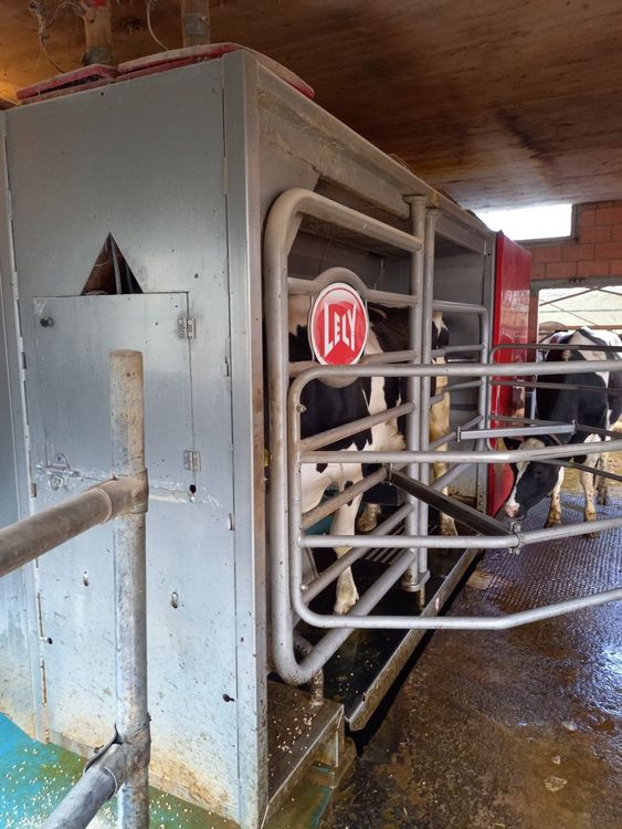 Melkroboter Lely A3 Next mit Puffertank (Gebraucht) in Jonen für CHF ...