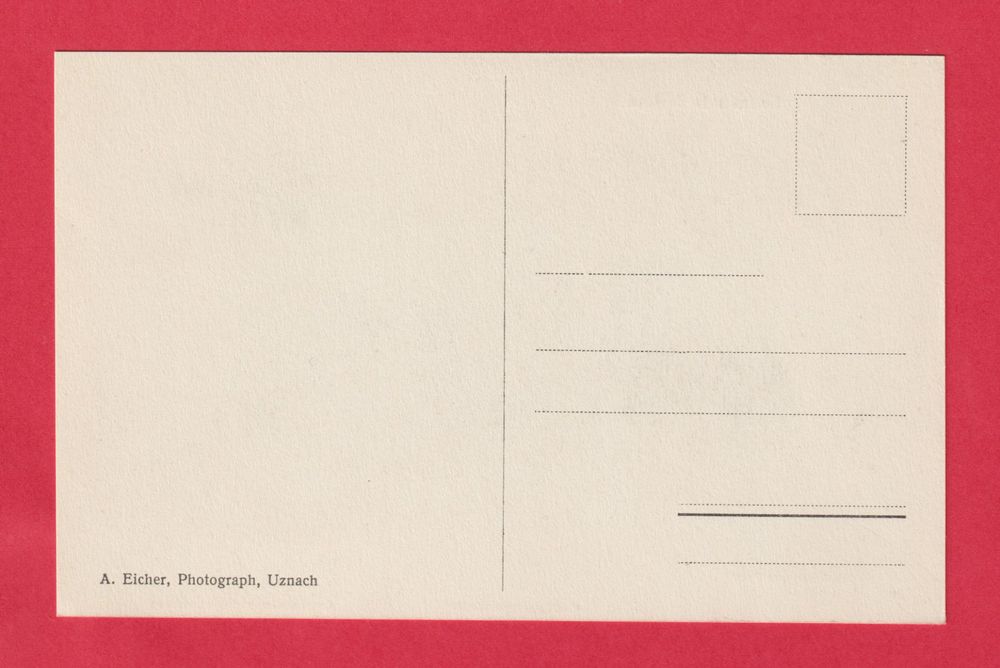 Ricken (SG) Pass Gommiswald-Wattwil 4-Bild Lichtdruck (Gebraucht) in ...