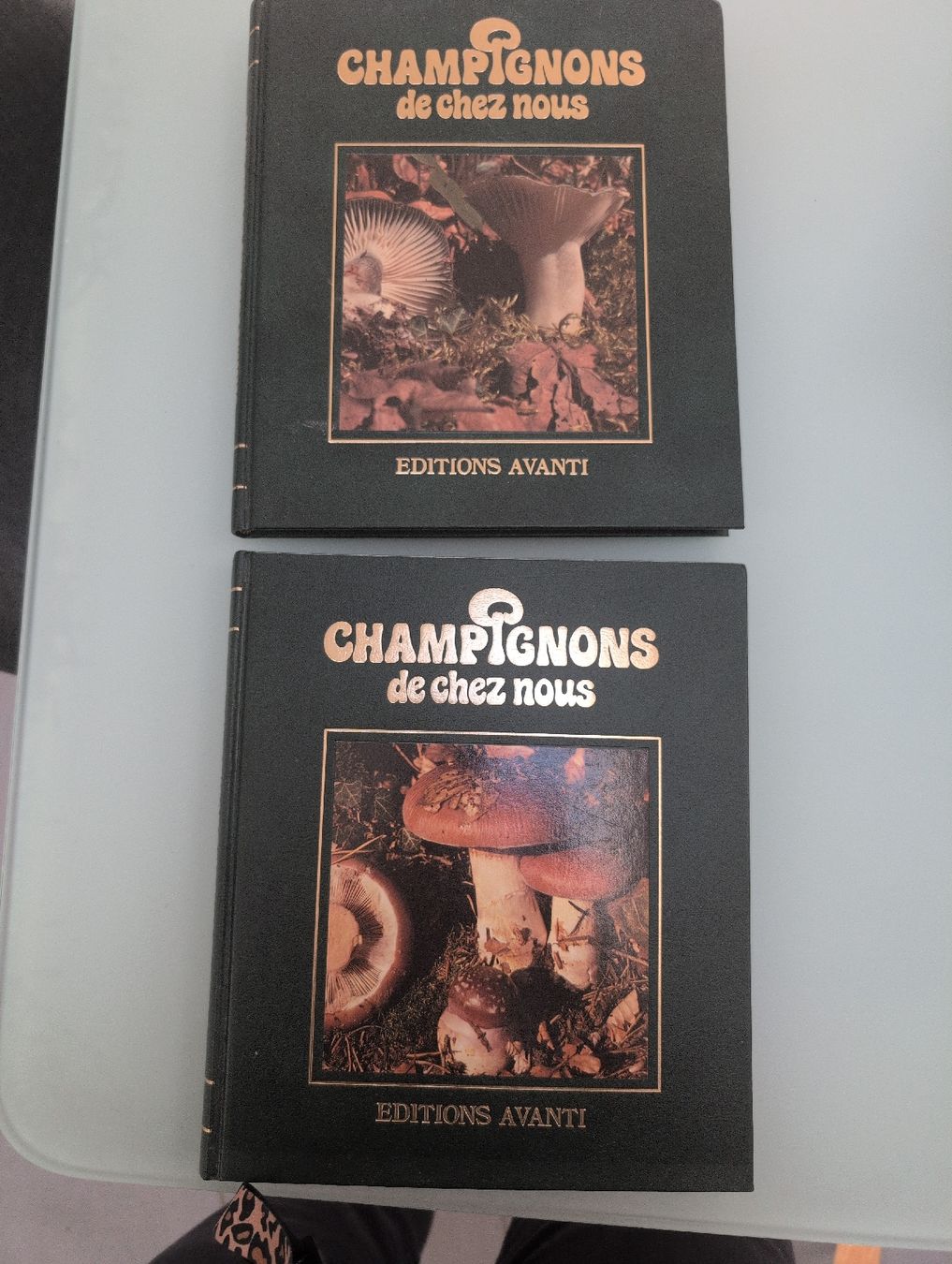 Champignons de chez nous, Tome 1+2, Editions Avanti, rare! (D'occasion ...