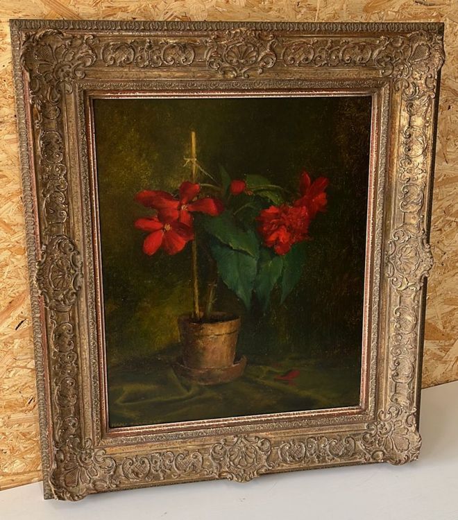 Gemälde, roter Begonien, signiert Hans Zaugg (ID L68) (Gebraucht) in Gelterfingen für CHF 1 ...