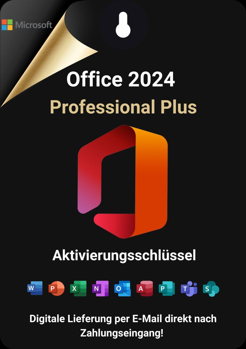 Office 2024 Pro Plus LTSC | Aktivierungsschlüssel | Digital (Gebraucht) in Aarau für CHF 9 – mit ...