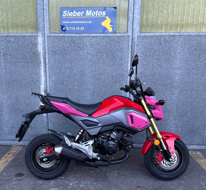 Honda Msx 125 Gebraucht