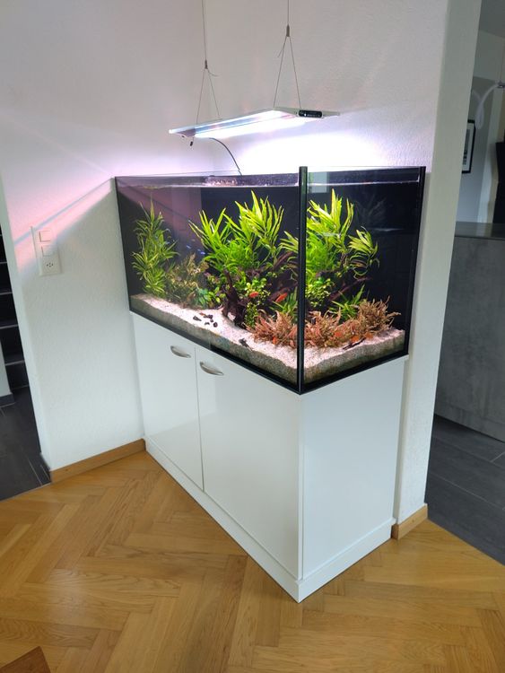 Aquarium (Poolbecken) - komplett mit Leuchte und Möbel (Gebraucht) in Toffen für CHF 450 – nur ...