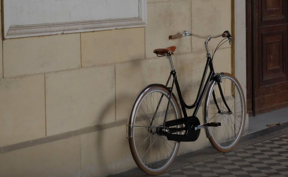 Velo Bella Ciao Corvo Città Donna 54cm, Shimano Nexus 3-Gang (Neu ...