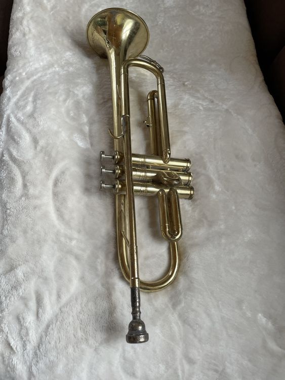 Trompete Master (Gebraucht) in für CHF 32 – mit Lieferung auf Ricardo ...