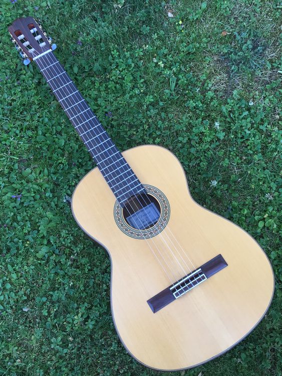 Gitarre „H.V. Diethard DF-5“ (Gebraucht) in Wangen b. Olten für CHF 170 ...
