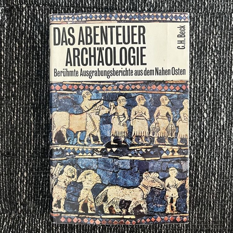 Das Abenteuer Archäologie | Kaufen auf Ricardo