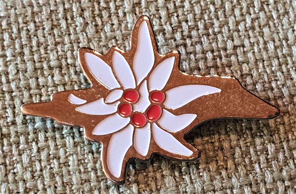J240 - Pin Edelweiss | Kaufen auf Ricardo