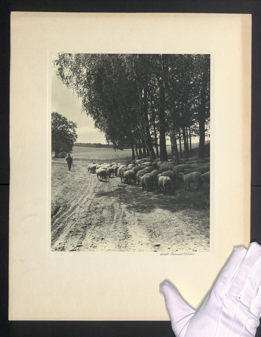 Fotografie Thomas Müller, Hamburg, Heid (Gebraucht) in Berlin für CHF ...