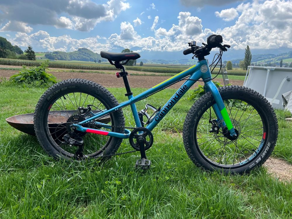 Cannondale Kinder Mtb | Kaufen auf Ricardo