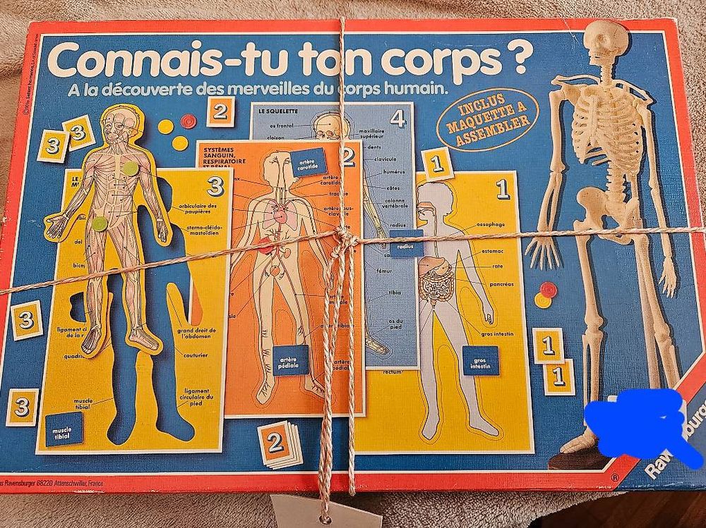 Jeu "connais-tu ton corps" | Kaufen auf Ricardo