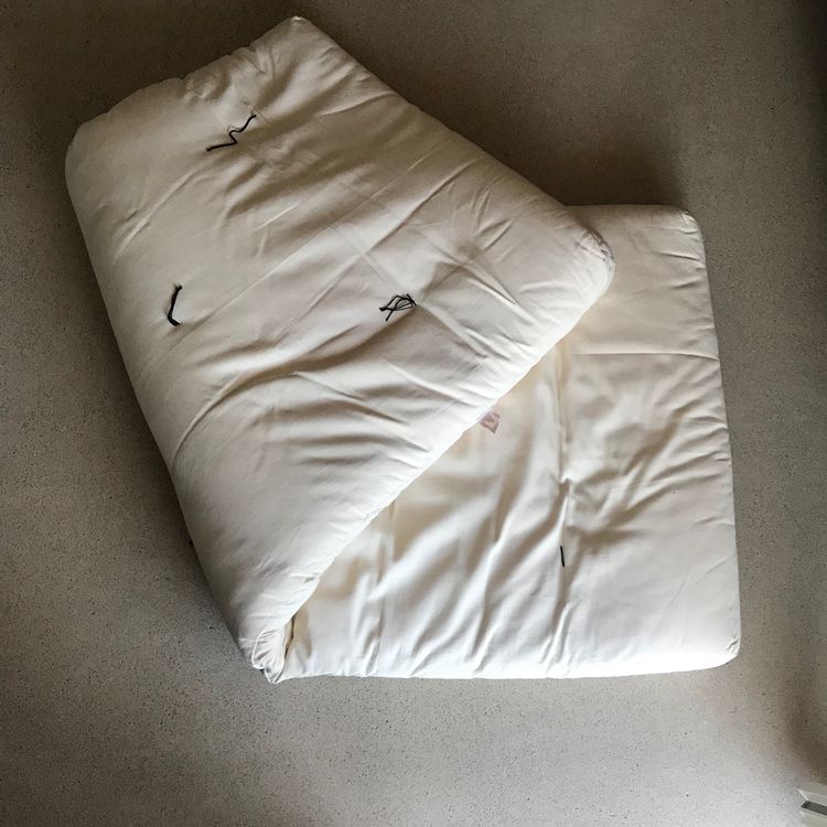 Futon 90 x 195 (Gebraucht) in Nussbaumen AG für CHF 22 – nur Abholung ...