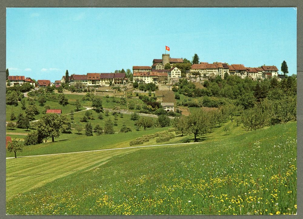 AK col Regensberg ZH ≈ 1975 (Gebraucht) in Basel für CHF 2 – mit Lieferung auf Ricardo kaufen