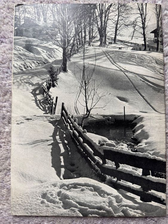 NSU im Bild 1955 (D'occasion) à Morrens VD pour CHF 12 – avec livraison ...