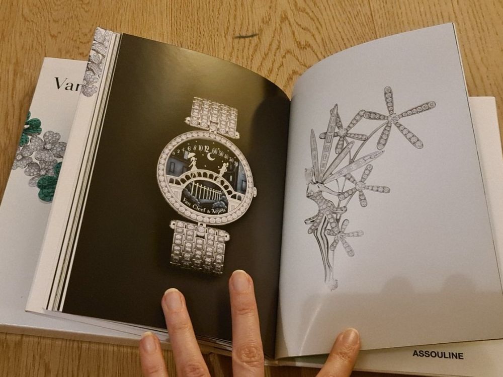 VAN CLEEF & ARPELS book (Neu (gemäss Beschreibung)) in Richterswil für ...