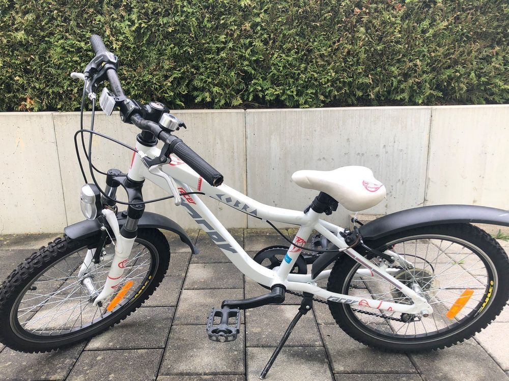 Racer Cobra Velo | Kaufen auf Ricardo