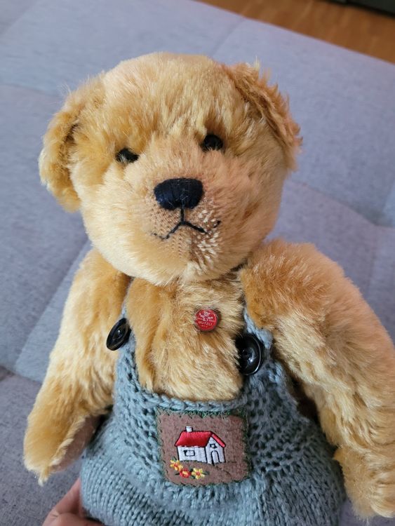 MUTZLI TEDDY M.C.Z swiss design (Gebraucht) in Jona für CHF 70 – mit ...