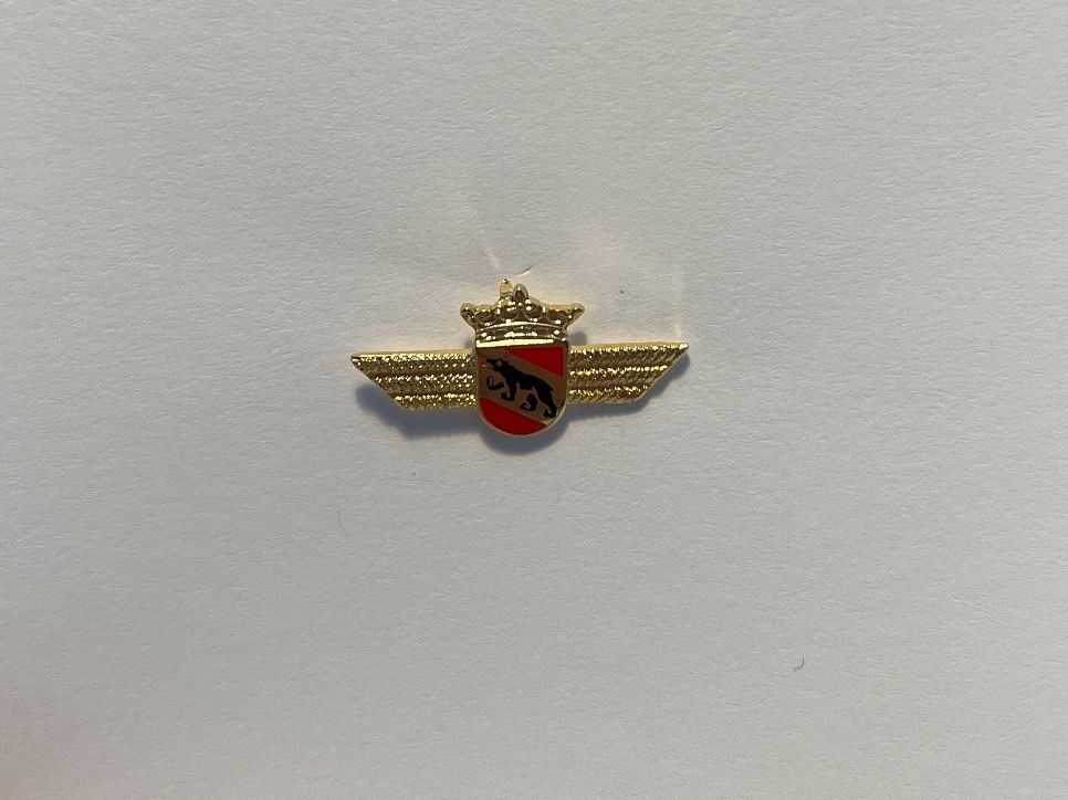 Pin Kantonspolizei Bern | Kaufen auf Ricardo