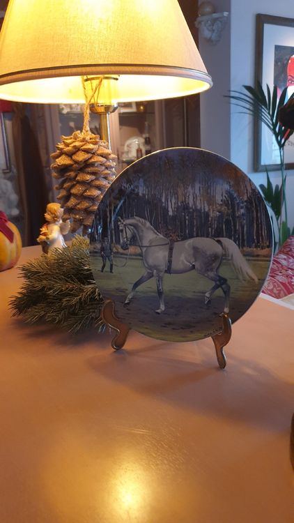 Sammelteller (Neu (gemäss Beschreibung)) in Benken SG für CHF 5 – mit Lieferung auf Ricardo kaufen