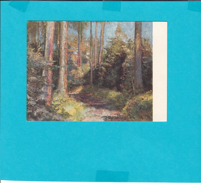 Reinhold Kündig, Horgen: Waldlichtung (Gebraucht) in St. Peterzell für ...