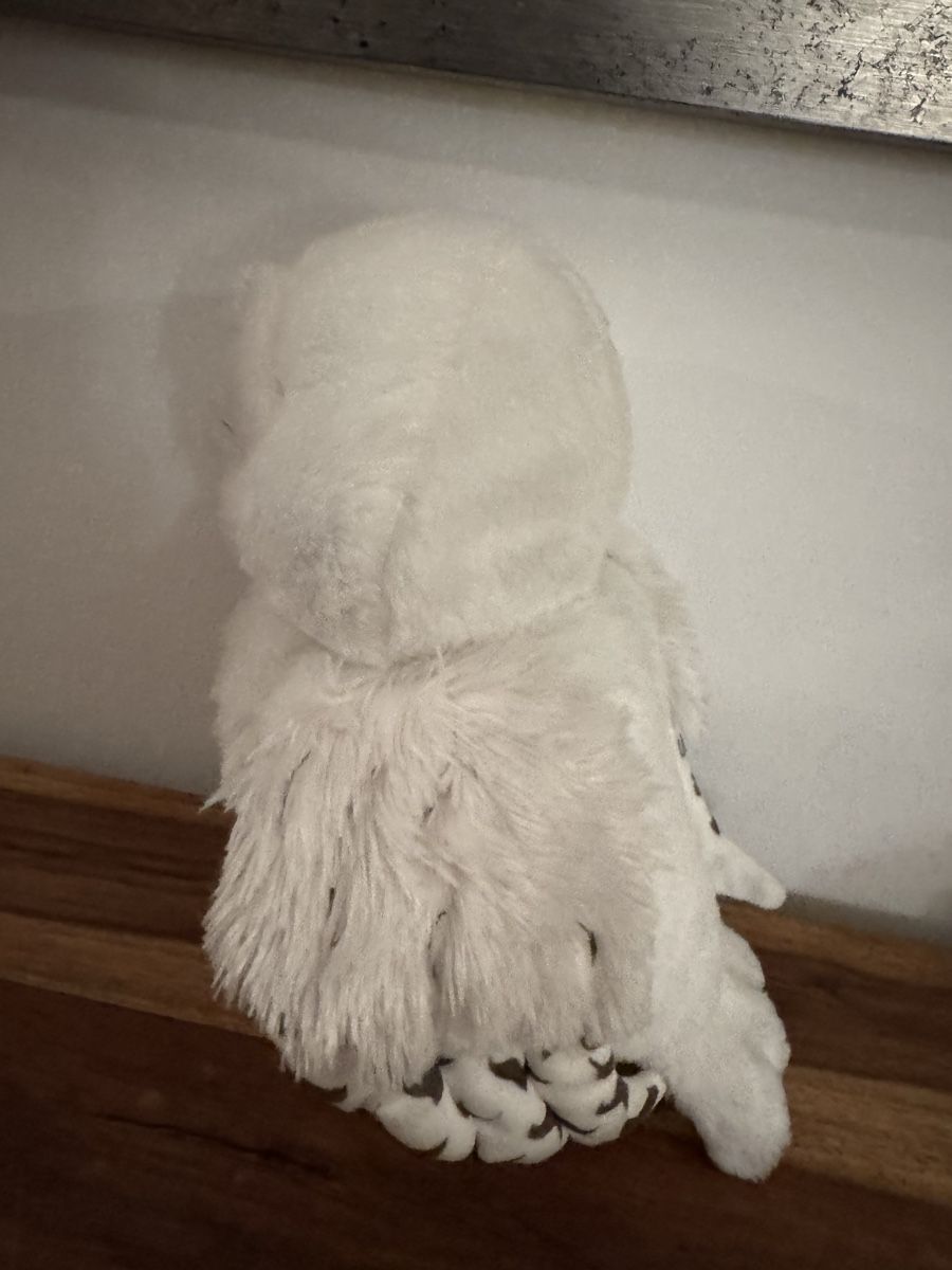 Harry Potter's Hedwig Eule von Build-A-Bear sucht neues Heim (Gebraucht ...