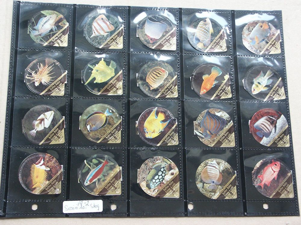 Serie 10 Zierfische Steg | Kaufen auf Ricardo