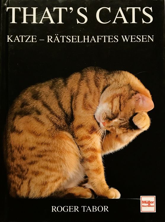 Tabor, That's Cats (Gebraucht) in Sarnen für CHF 9.5 – mit Lieferung ...