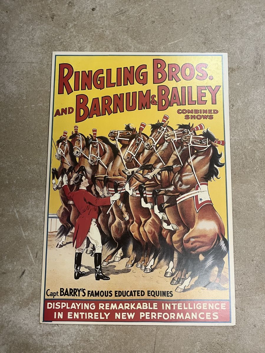 Ringling Brothers Zirkus Circus Plakat Rarität Pferde (Gebraucht) in ...
