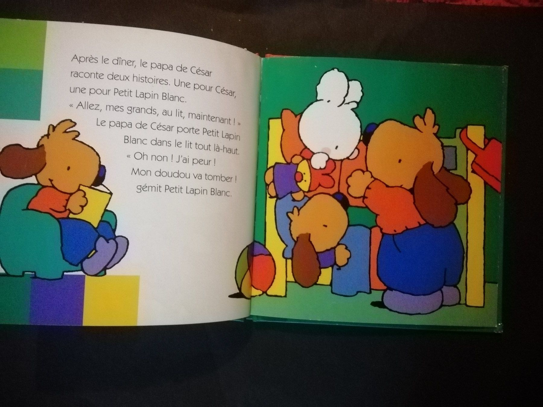 Petit Lapin Blanc dort chez César, Livre enfant, bon état (D'occasion ...