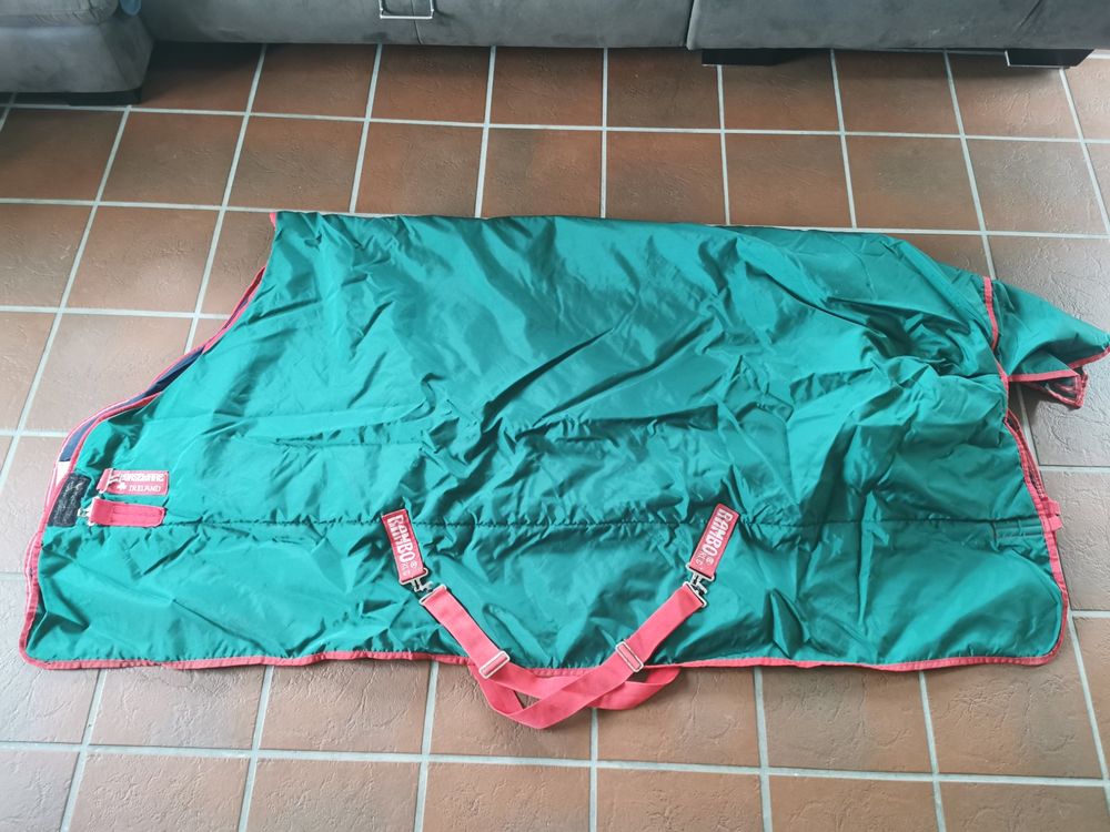 Horseware Rambo Original Turnout grün / Winterdecke 160cm (Gebraucht ...