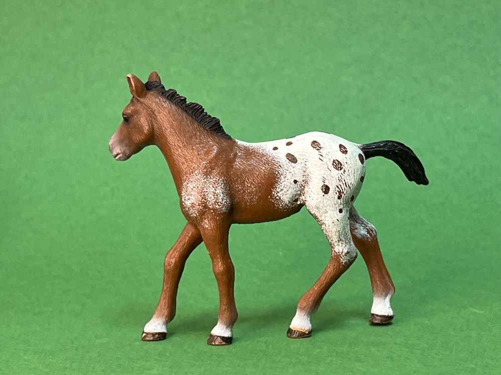 Tolle Familie ** Schleich Appaloosa Hengst Stute Fohlen (Gebraucht) in Ennetbaden für CHF 26 ...