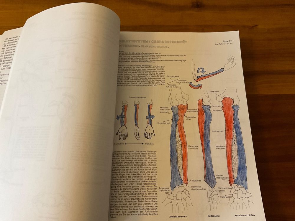 Anatomie- Malatlas, von Wynn Kapit & Lawrence M. Elson (Gebraucht) in ...