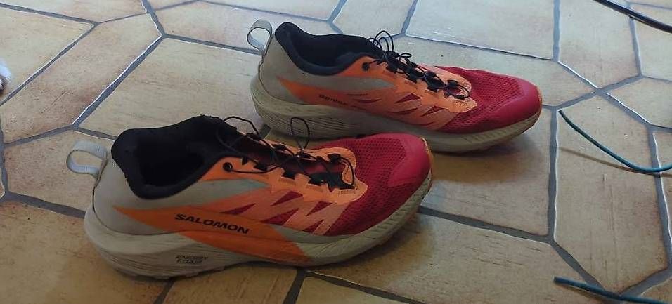 Chaussures de trail running Salomon 44 (Gebraucht) in Ardon für CHF 20 ...