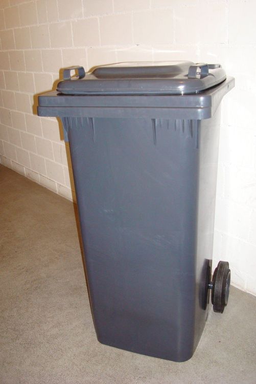 Abfallcontainer Kehrichtcontainer 120L (Neu (gemäss Beschreibung)) in Affoltern am Albis für CHF ...