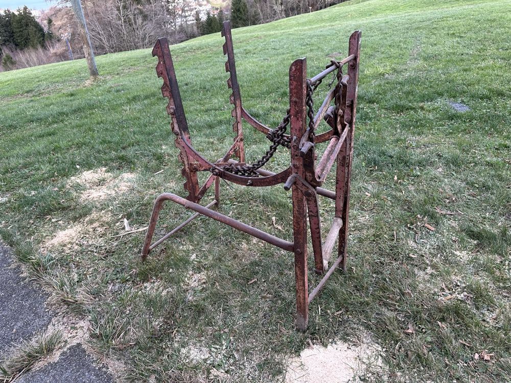 Bürdelbock, Büschelibock, Reiswellenbock, Wellenbock, Reisig (Gebraucht ...