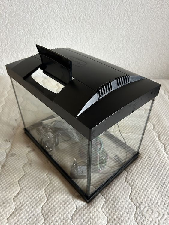 Aquarium 17 litres | Kaufen auf Ricardo