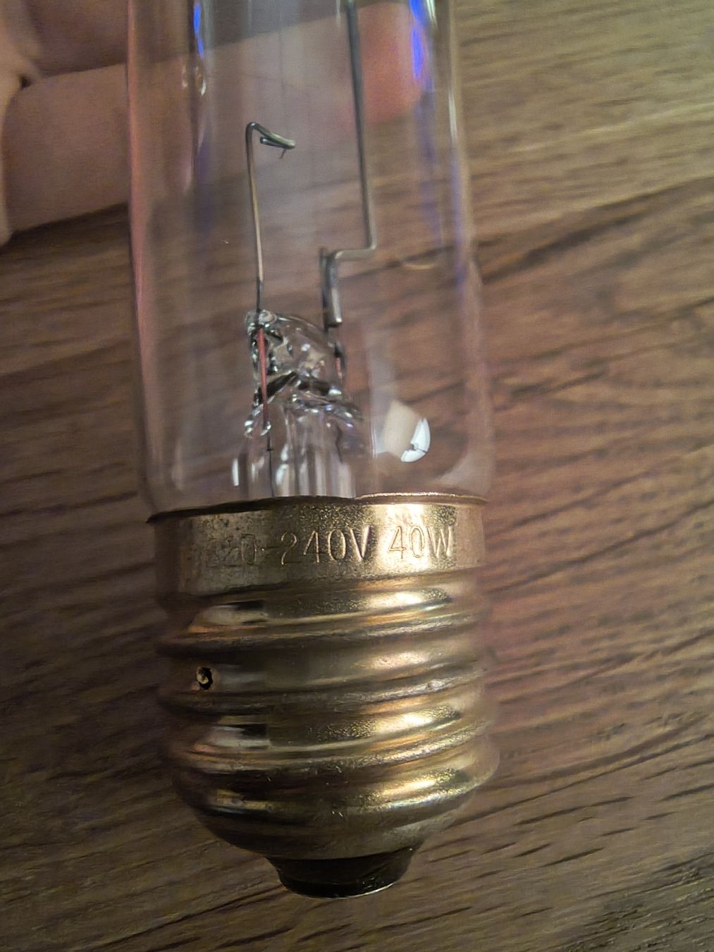 Edison Tungsten Filament Bulb T30 Long Decorative Bulb (Neu und ...