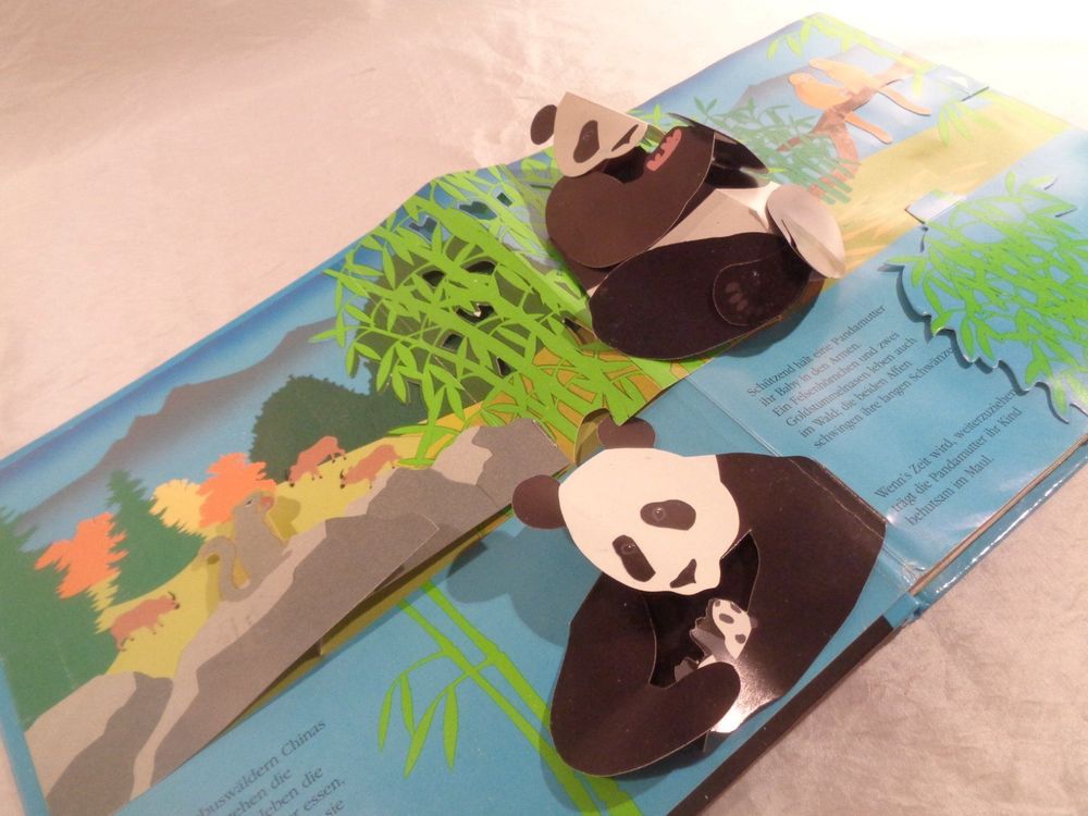 Pop-Up Buch / Die Pandas / Panda / Mit beweglichen Bildern (Gebraucht ...