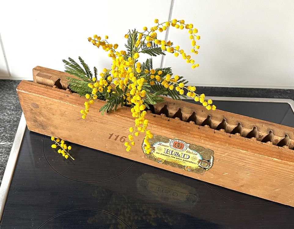 Haas & Derst ZigarrenPresse antik (Gebraucht) in Zürich für CHF 48 ...