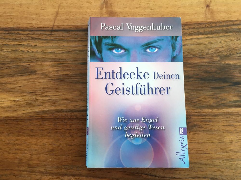 Entdecke Deinen Geistführer - Pascal Voggenhuber Buch | Kaufen auf Ricardo