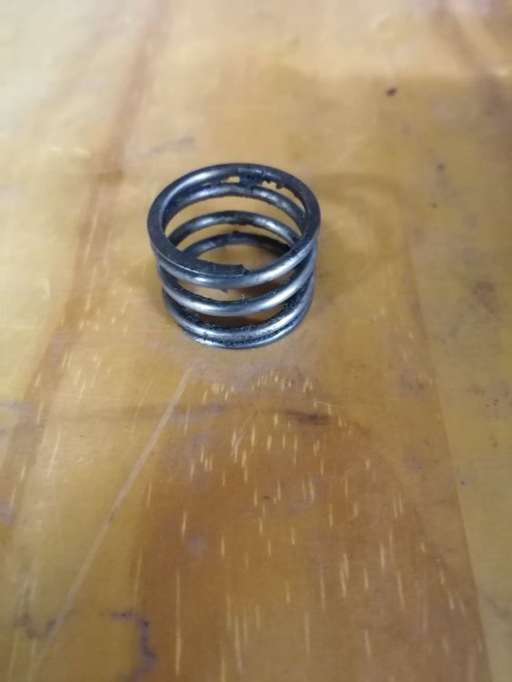 Rapid Spezial Motorfeder (MAG 2055) (Gebraucht) in Giswil für CHF 10 ...