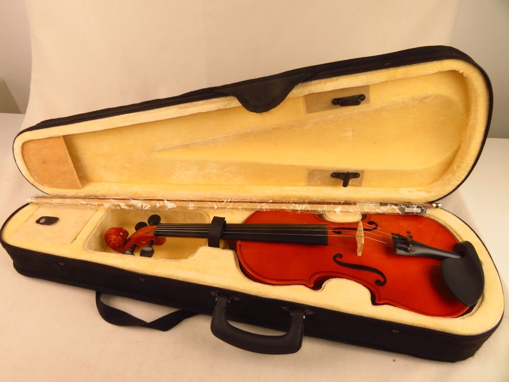 Dimavery Violine mit Bogen im Case (Gebraucht) in Reinach BL für CHF 99 ...