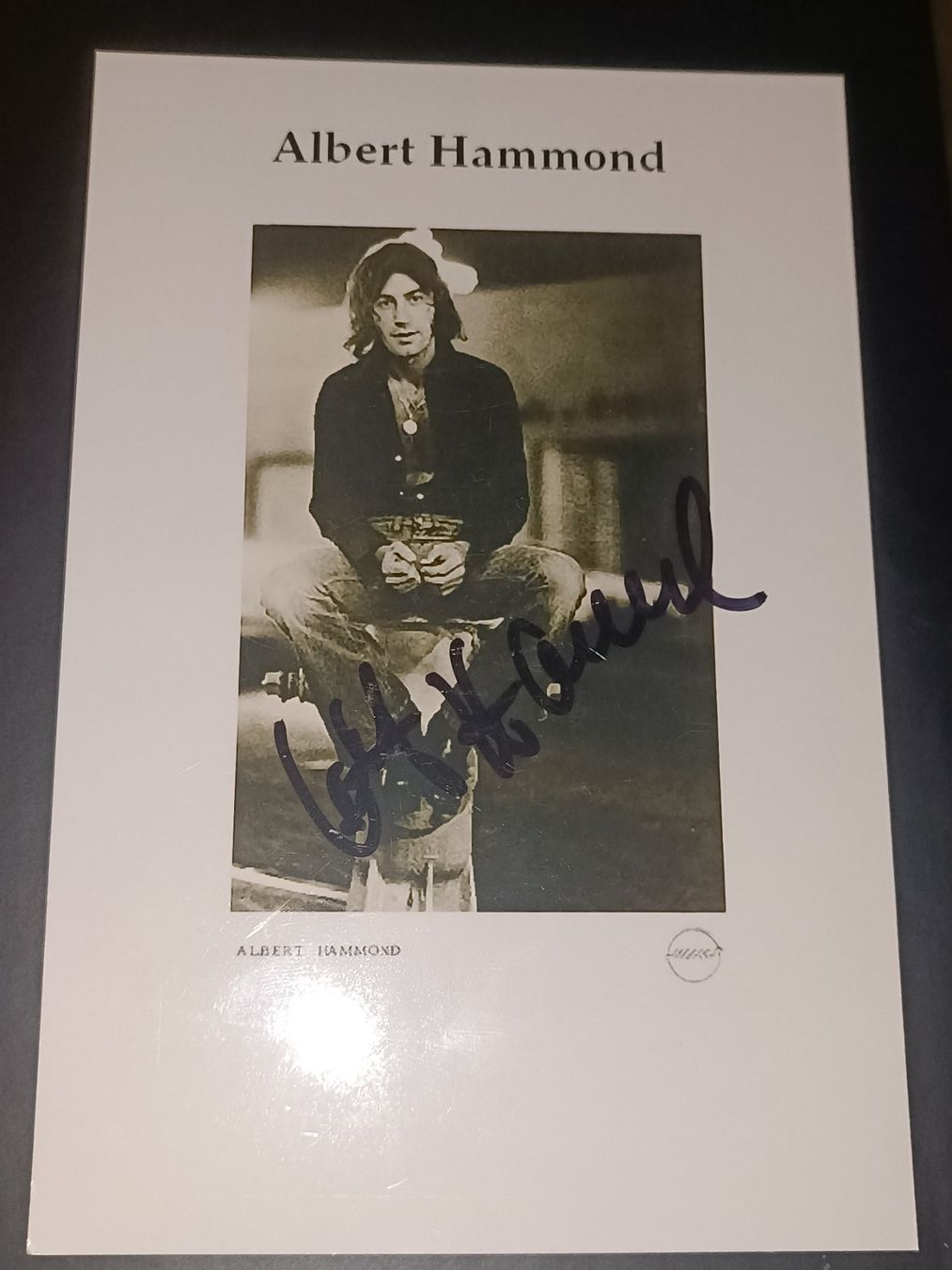 Albert Hammond - It Never Rains in Southern California (Gebraucht) in ...