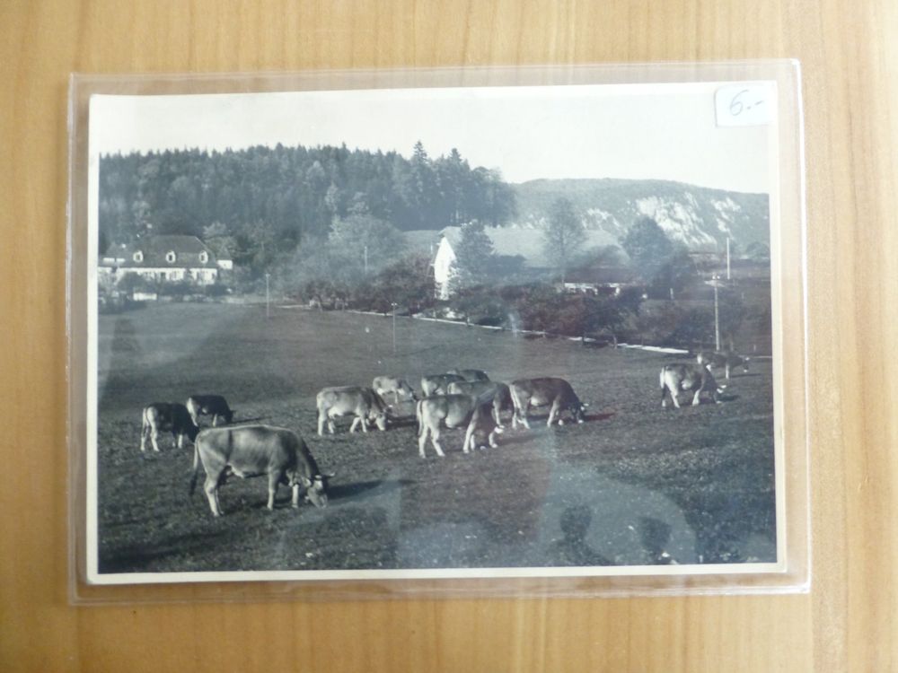 Bellach, " Staalenhof " 1938 (Gebraucht) in Bettlach für CHF 11 – mit Lieferung auf Ricardo kaufen