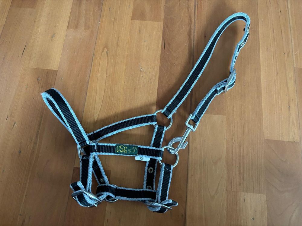 Fohlen-Halfter, USG (Gebraucht) in Möriken AG für CHF 2 – mit Lieferung ...