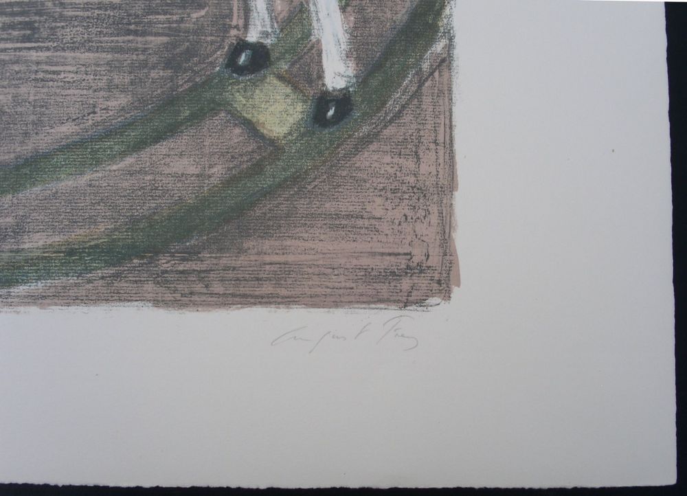 August Frey, Grosse Lithographie nummeriert und signiert (Gebraucht) in Cavigliano für CHF 15 ...