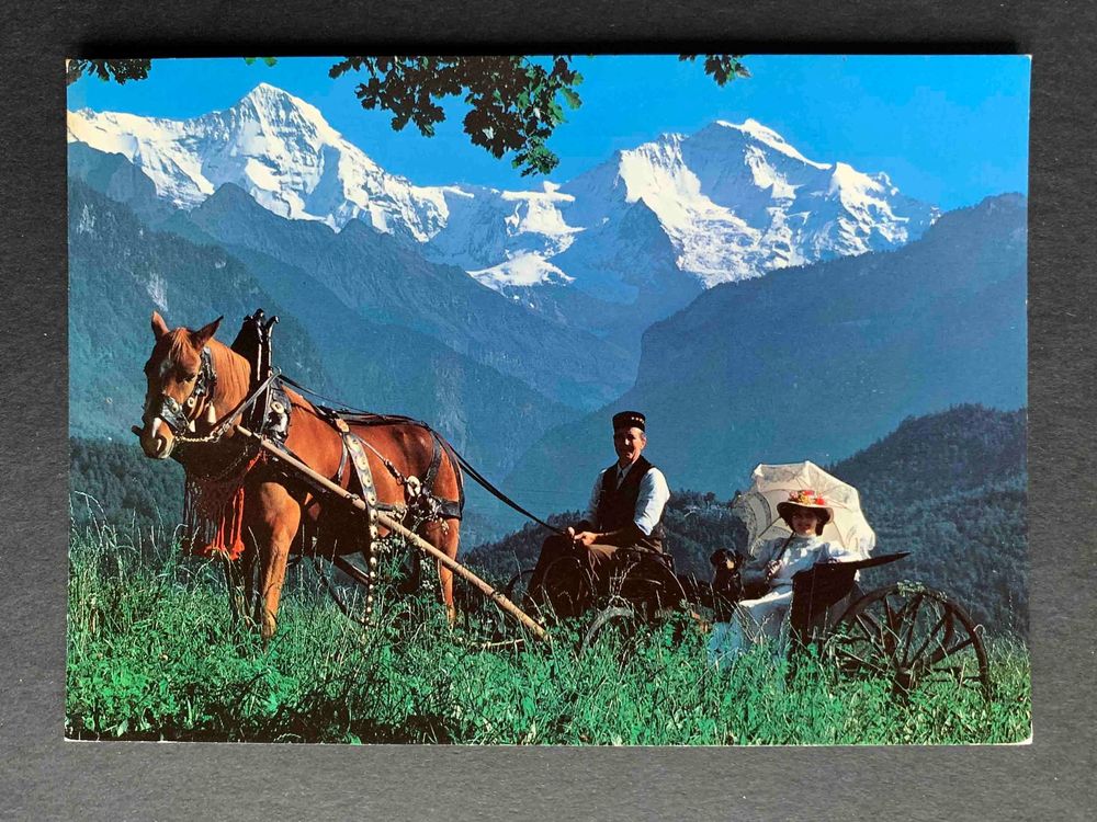 AK Berner Oberland Mönch und Jungfrau (Gebraucht) in Goldau für CHF 2 – mit Lieferung auf ...