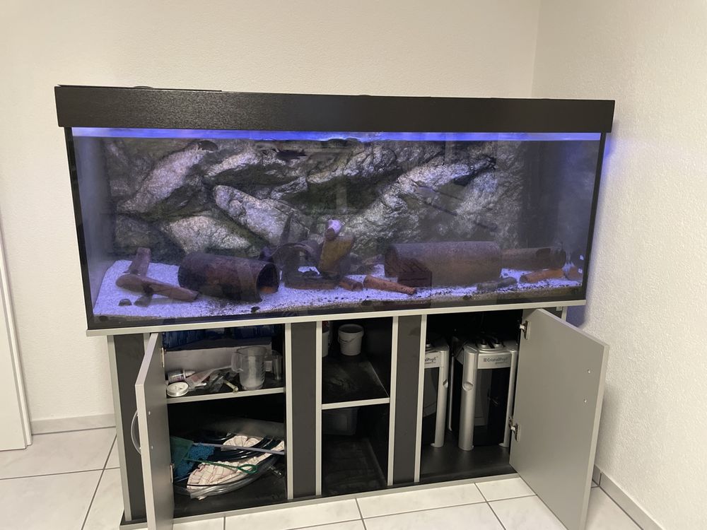 Aquarium 580l komplett mit 2 Aussenfilter (Gebraucht) in Ammerzwil BE ...