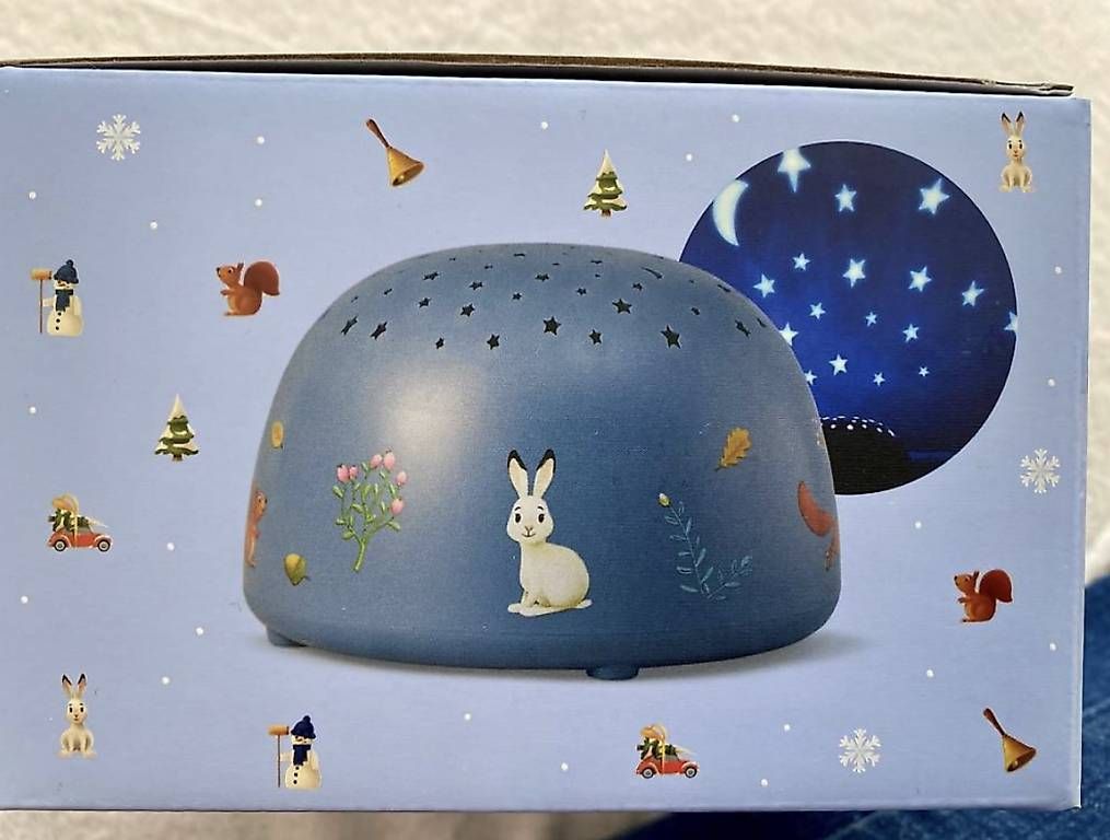 Magischer Winter Kinder Nachtlicht (Gebraucht) in Basel für CHF 10 ...